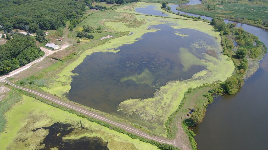 Lower Muskegon River Hydrological Reconnection and Wetland Restoration ...